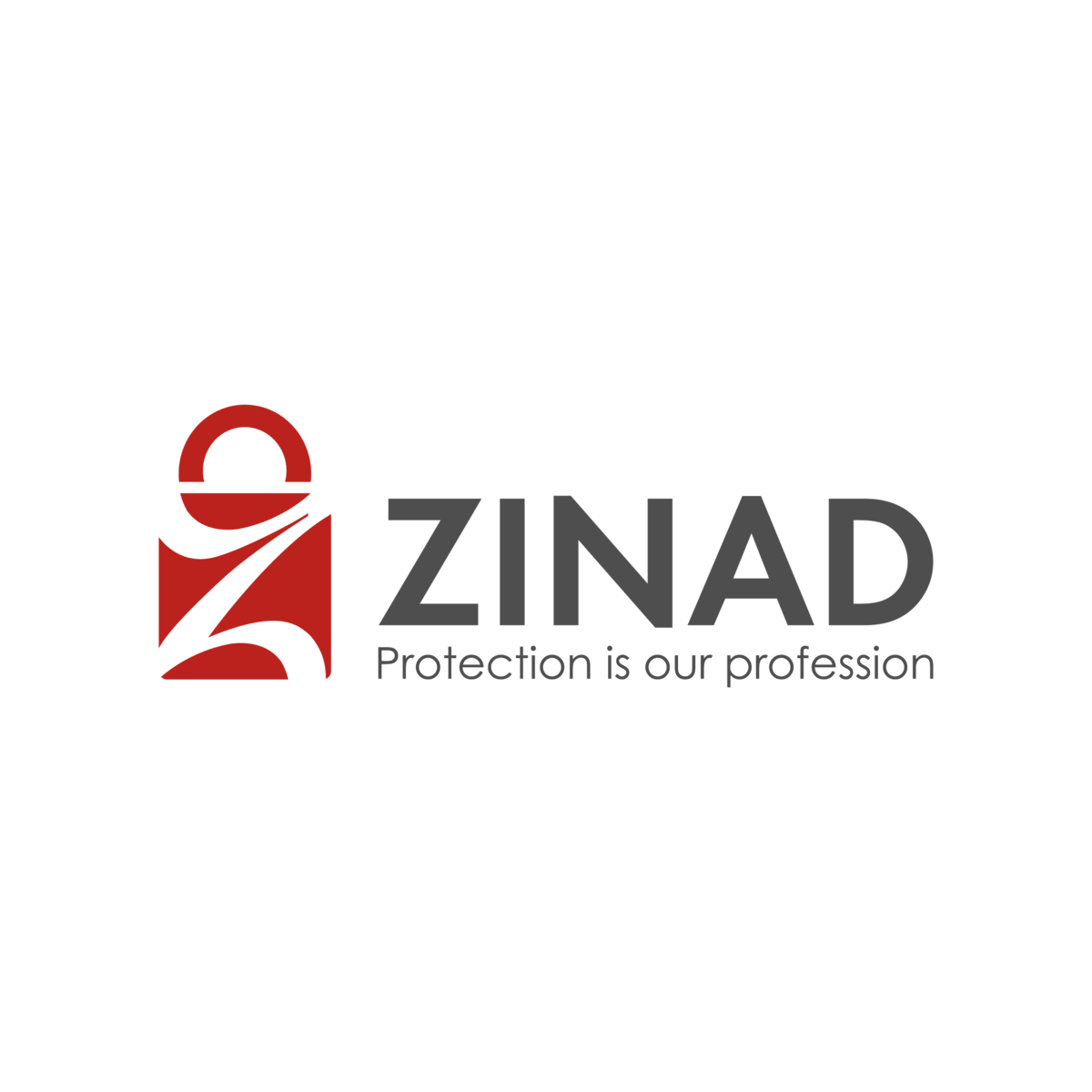 Empower Your Career in Cybersecurity | ZINAD